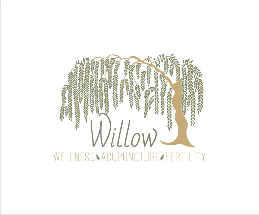 Willow Tv Logo