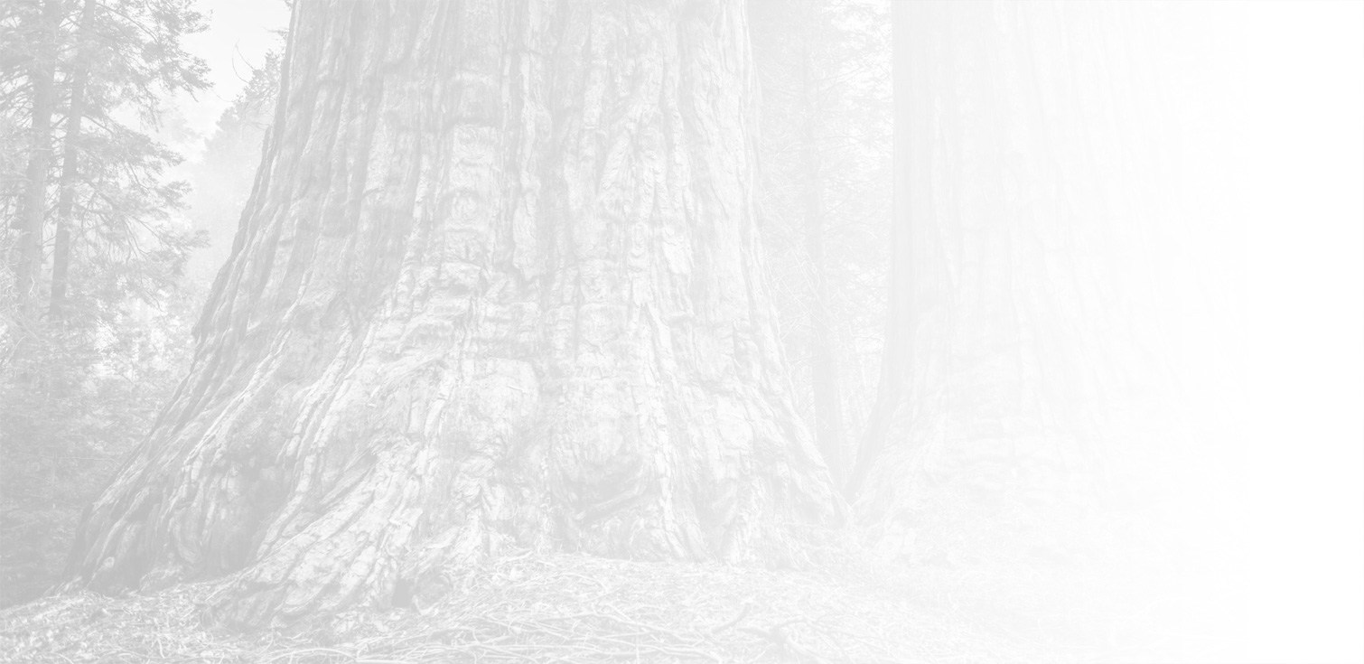 faded-trees - Sacred Vision Designs